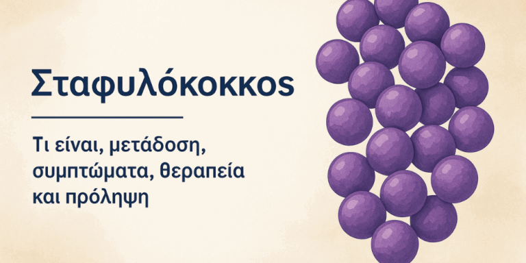 Σταφυλόκοκκος: Τι είναι, μετάδοση, συμπτώματα, θεραπεία και πρόληψη - i ...